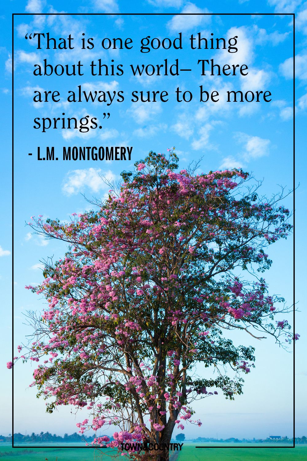 20 Days til Spring – 10 Things I Like About Spring – Positive Journeys
